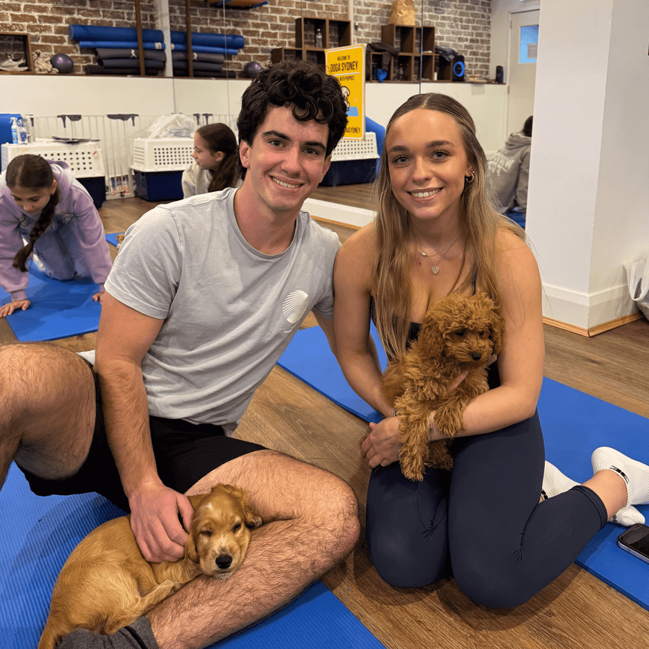 Puppy Yoga Sydney | Classes in Chatswood, Parramatta, Rhodes & More ...