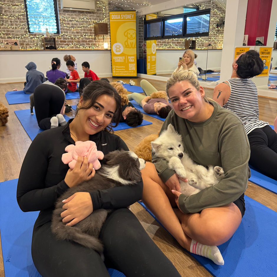 Puppy Yoga Sydney | Classes in Chatswood, Parramatta, Rhodes & More ...